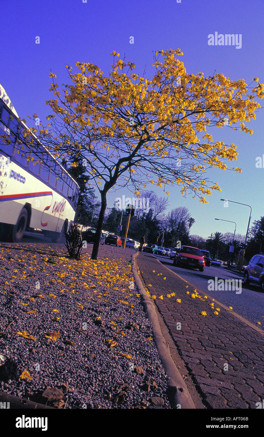 South africa african johannesburg rosebank hi-res stock photography and ...