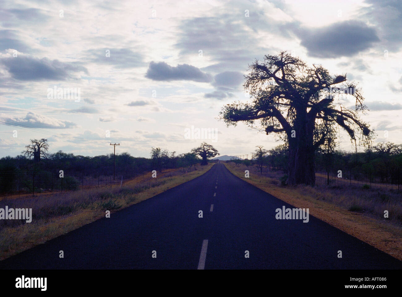 Limpopo Province Road Stock Photos & Limpopo Province Road Stock Images ...