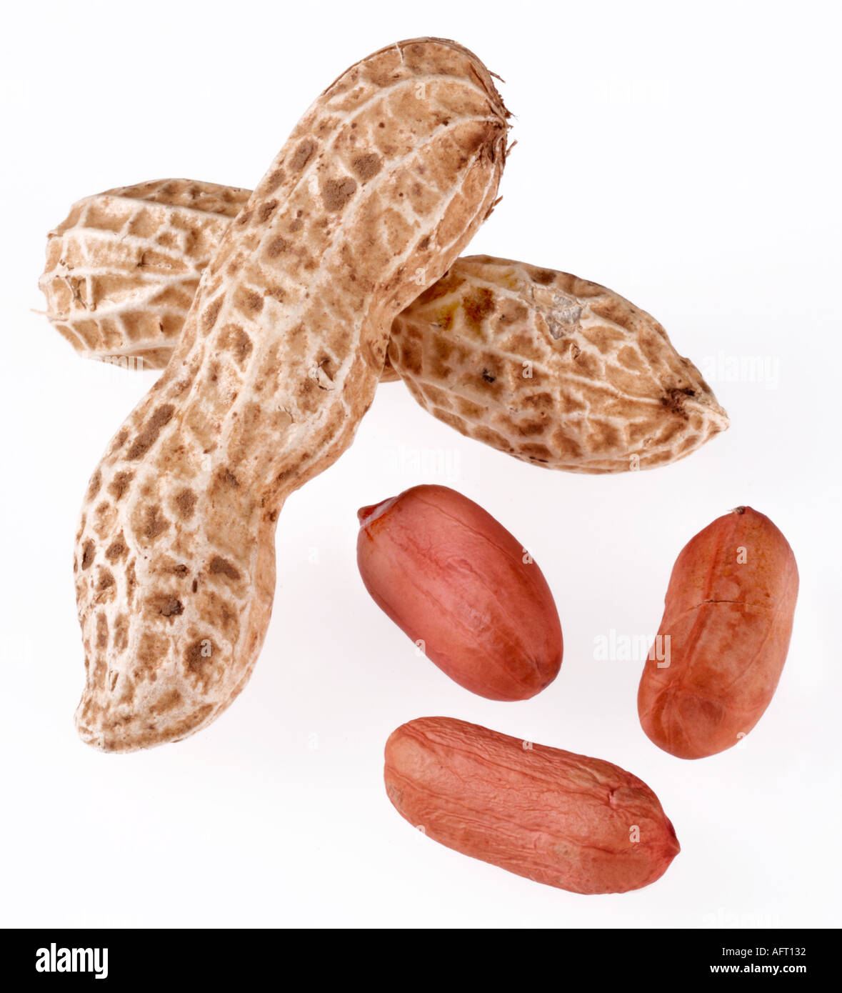 Monkey nut Cut Out Stock Images & Pictures - Alamy