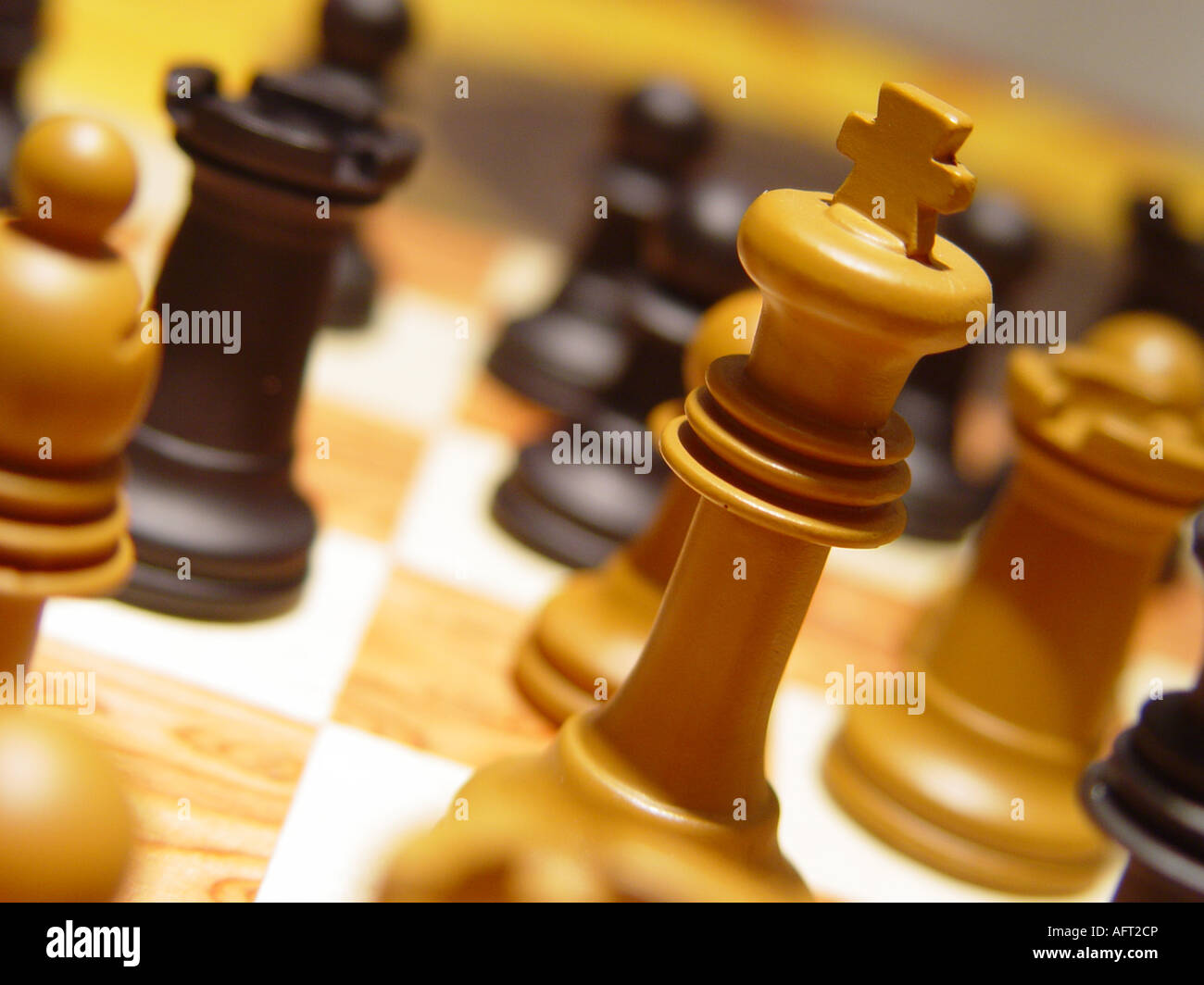 Checkmate Photography