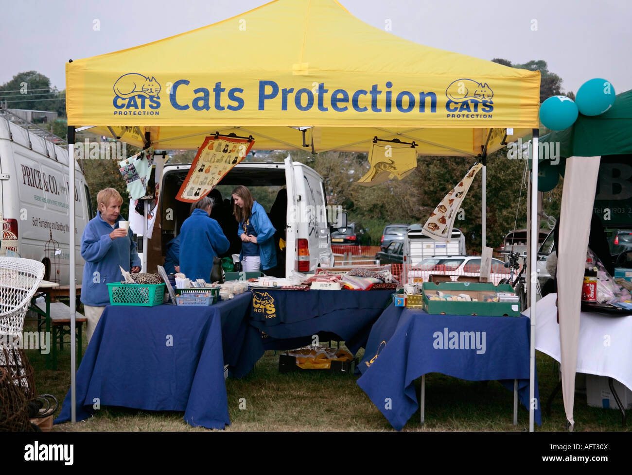 Cats Protection charity stand at village fair. England, UK Stock Photo ...