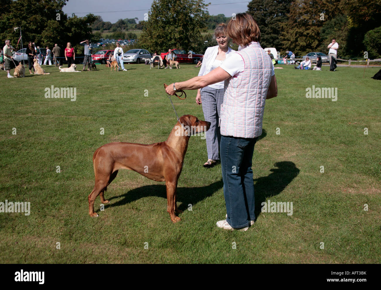 Village dog show hi-res stock photography and images - Alamy