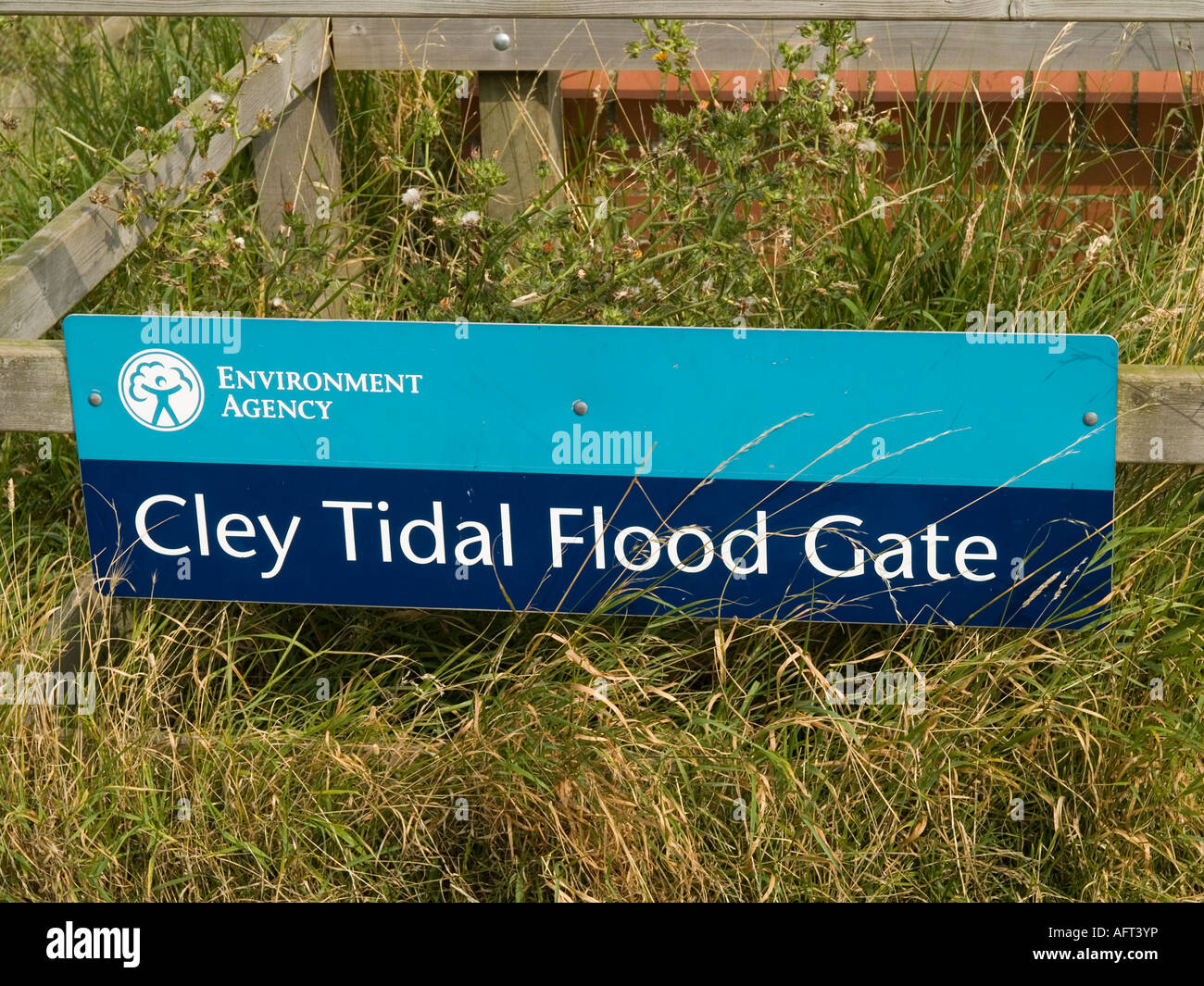 Tidal flood hi-res stock photography and images - Alamy