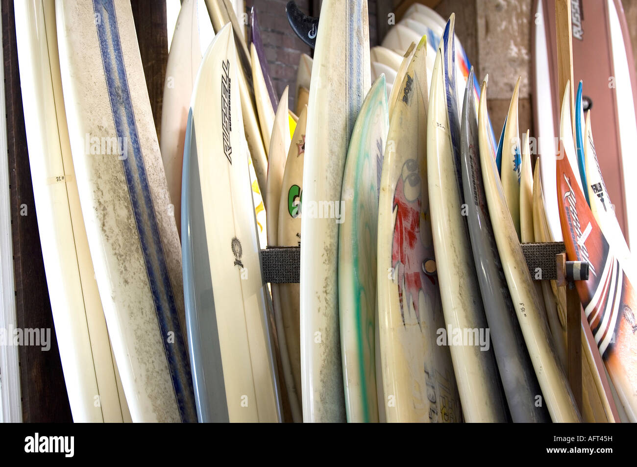 Surfboards lined up for sale or rent Stock Photo - Alamy