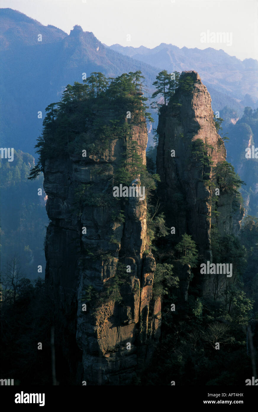 Sandstone Pillars in Wulingyuan Scenic Area Stock Photo - Alamy