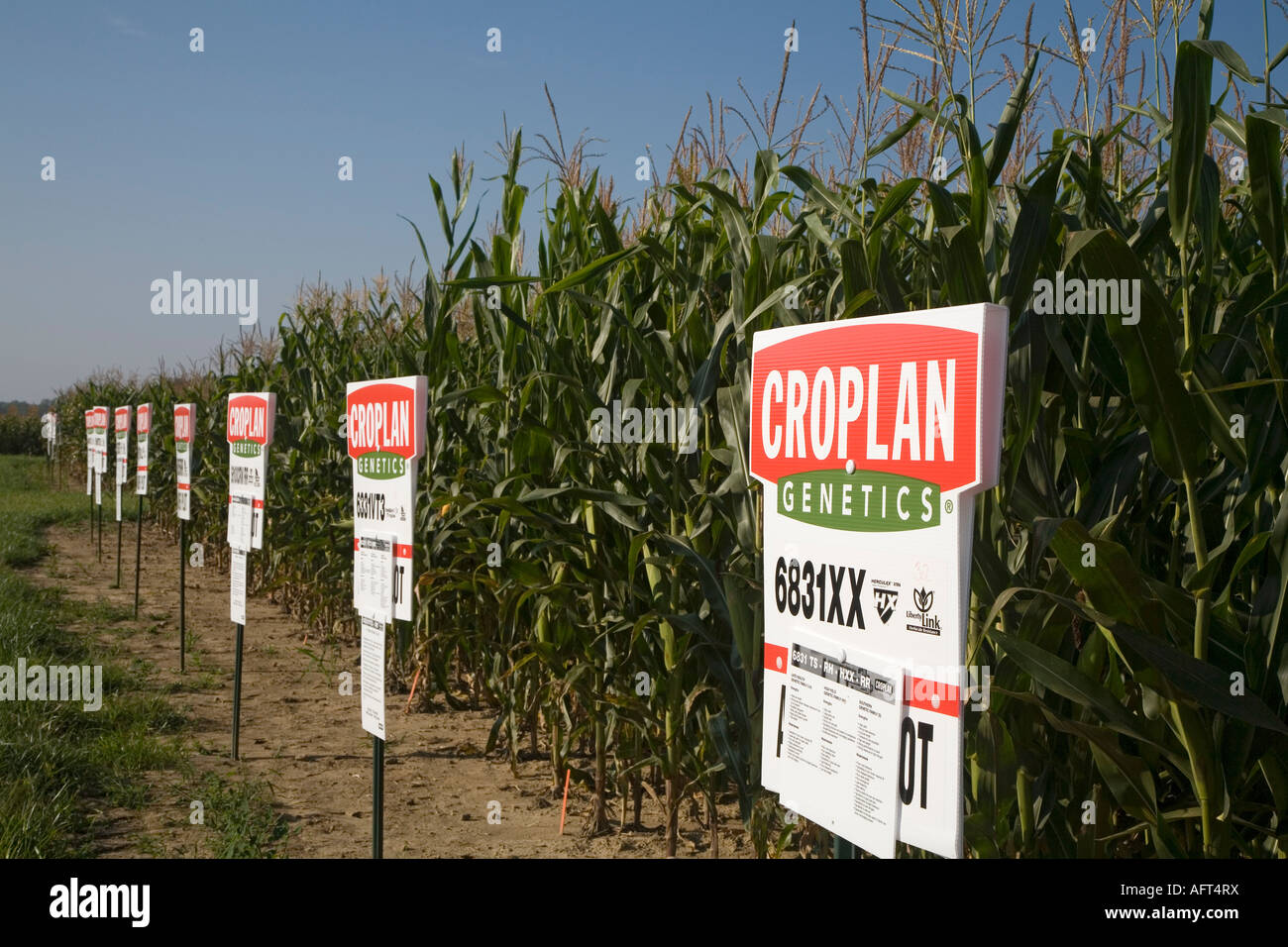 Croplan Genetics Answer Plot Stock Photo - Alamy