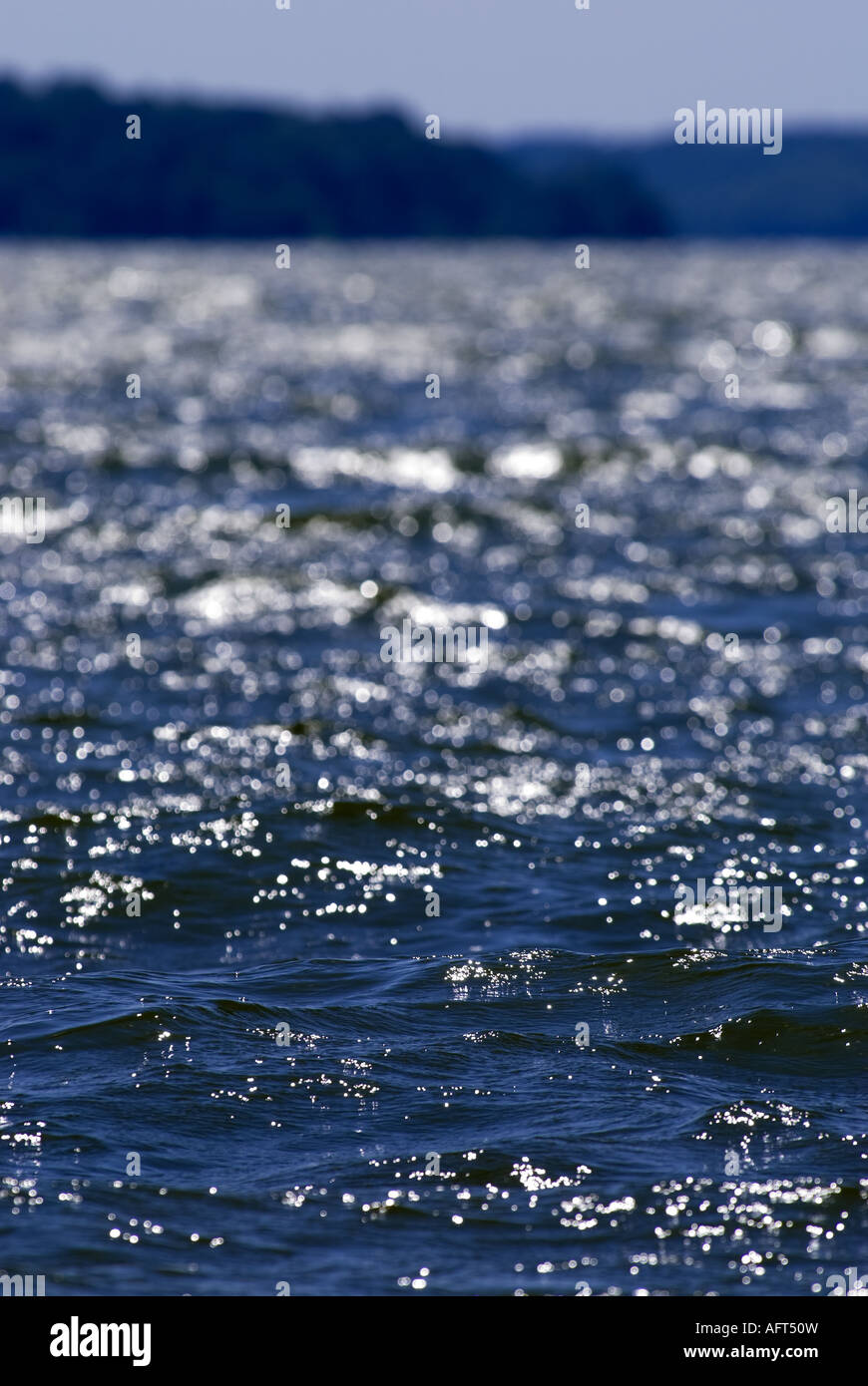 Waves ripple across windswept blue lake Big Pine Lake Ottertail County ...