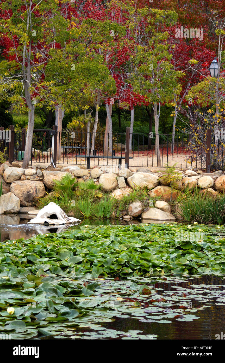 Alice Keck Park Stock Photo - Alamy