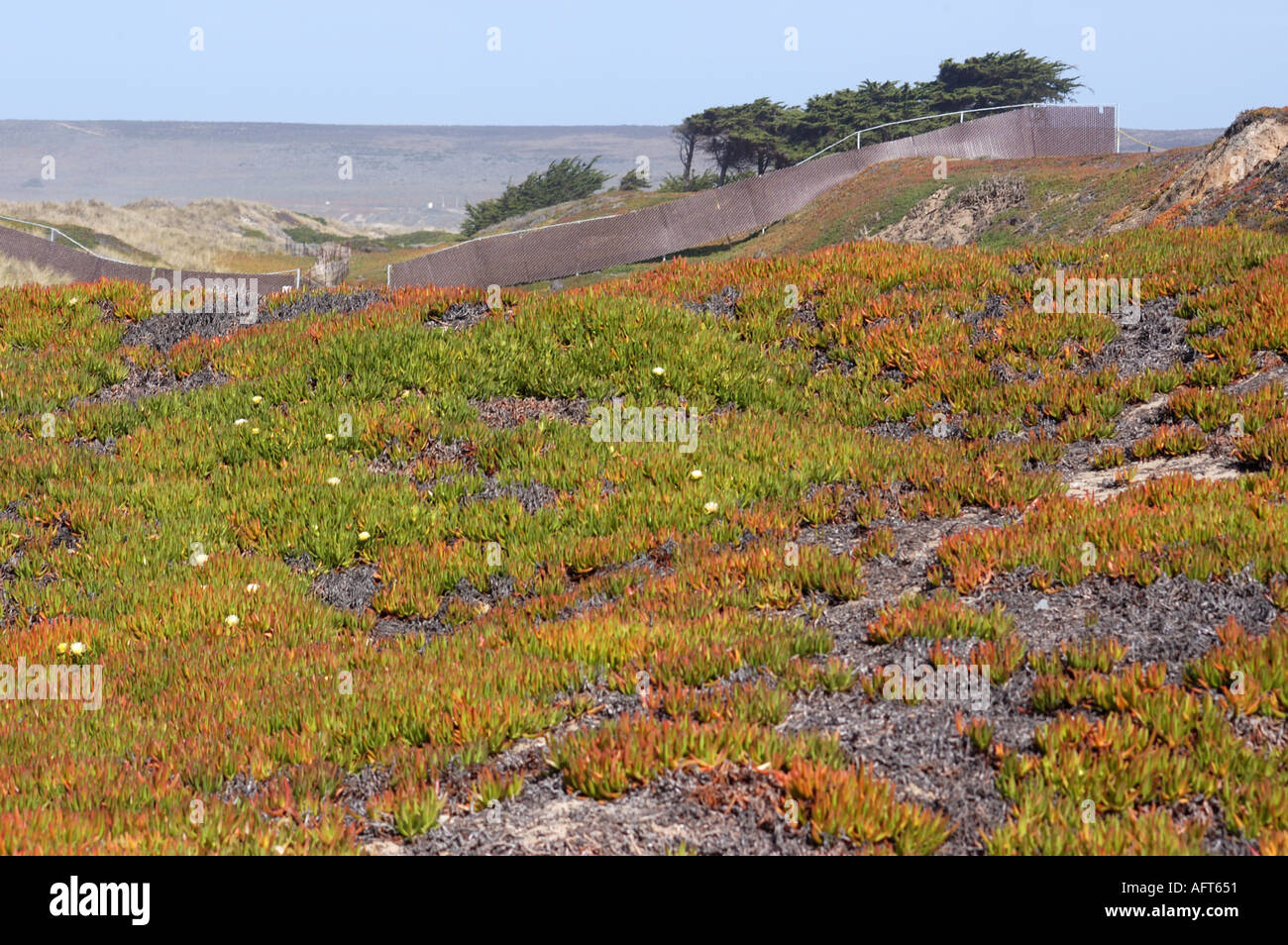 Lompoc surf hi-res stock photography and images - Alamy