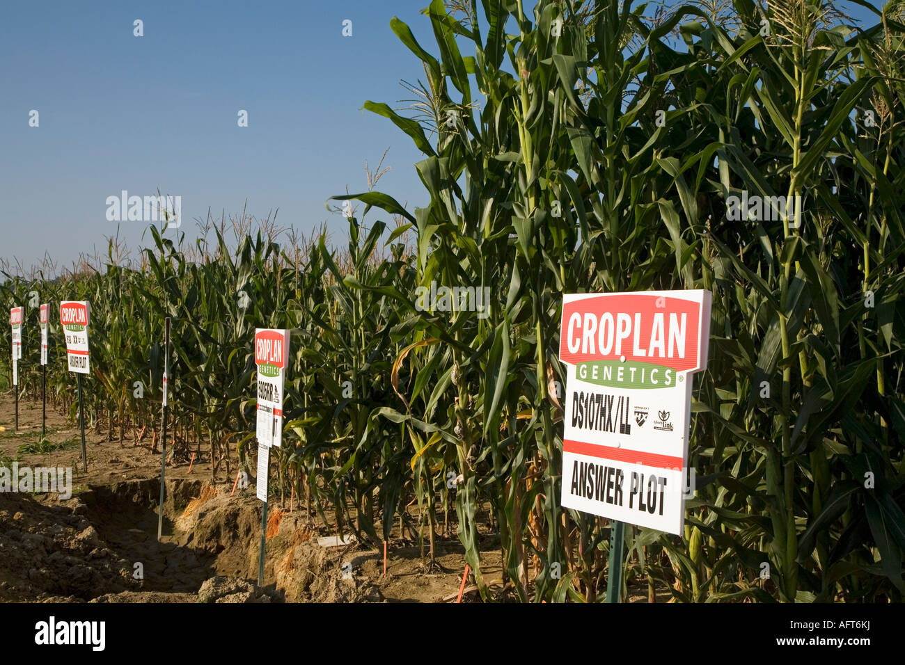 Croplan Genetics Answer Plot Stock Photo - Alamy