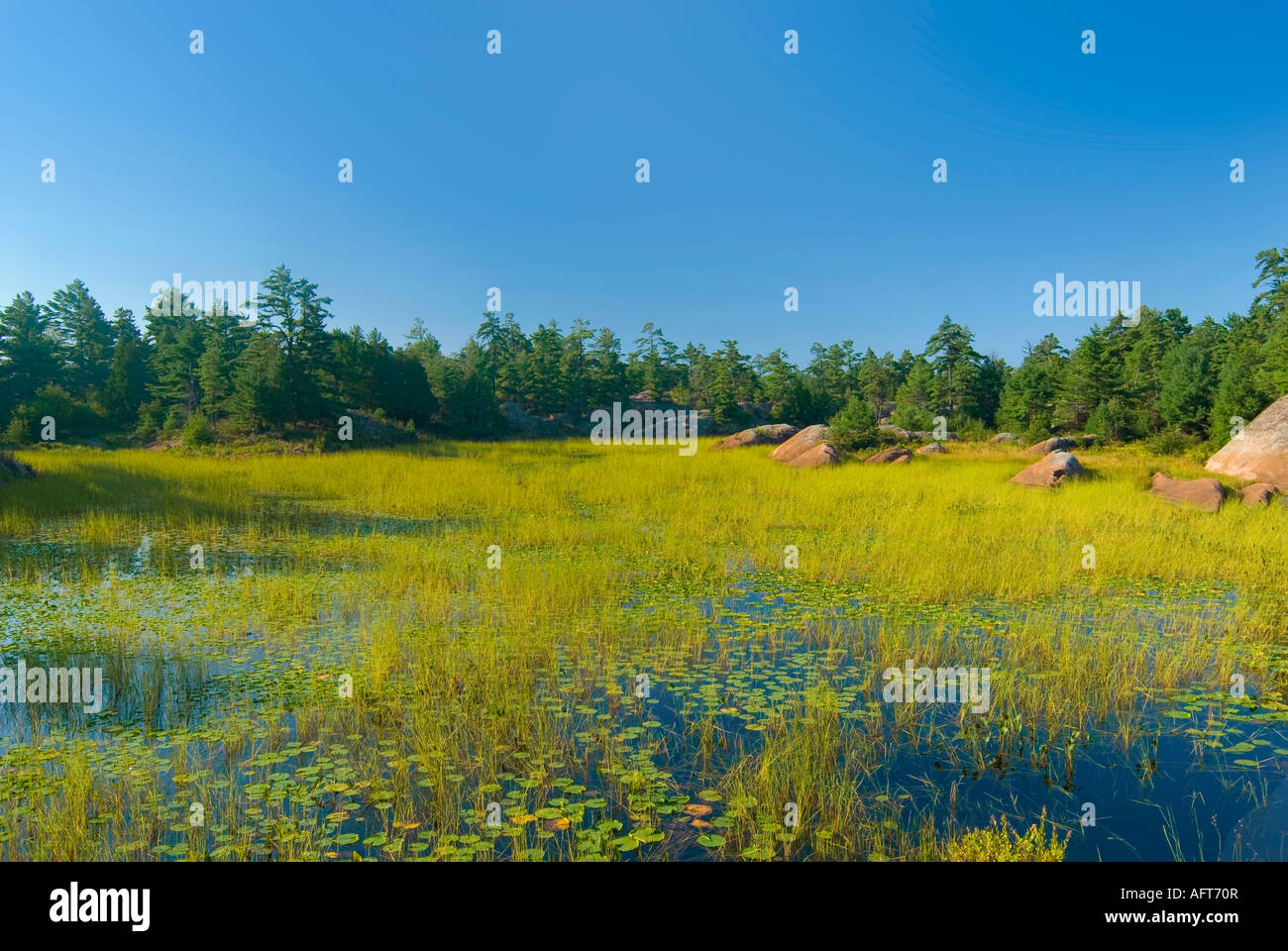 Landscape and nature scene from Ontario Stock Photo - Alamy