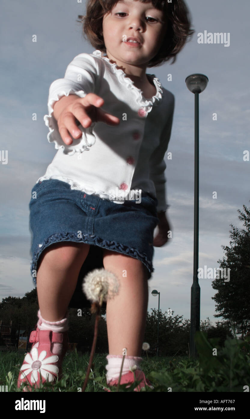 child reaching for a flower Stock Photo - Alamy