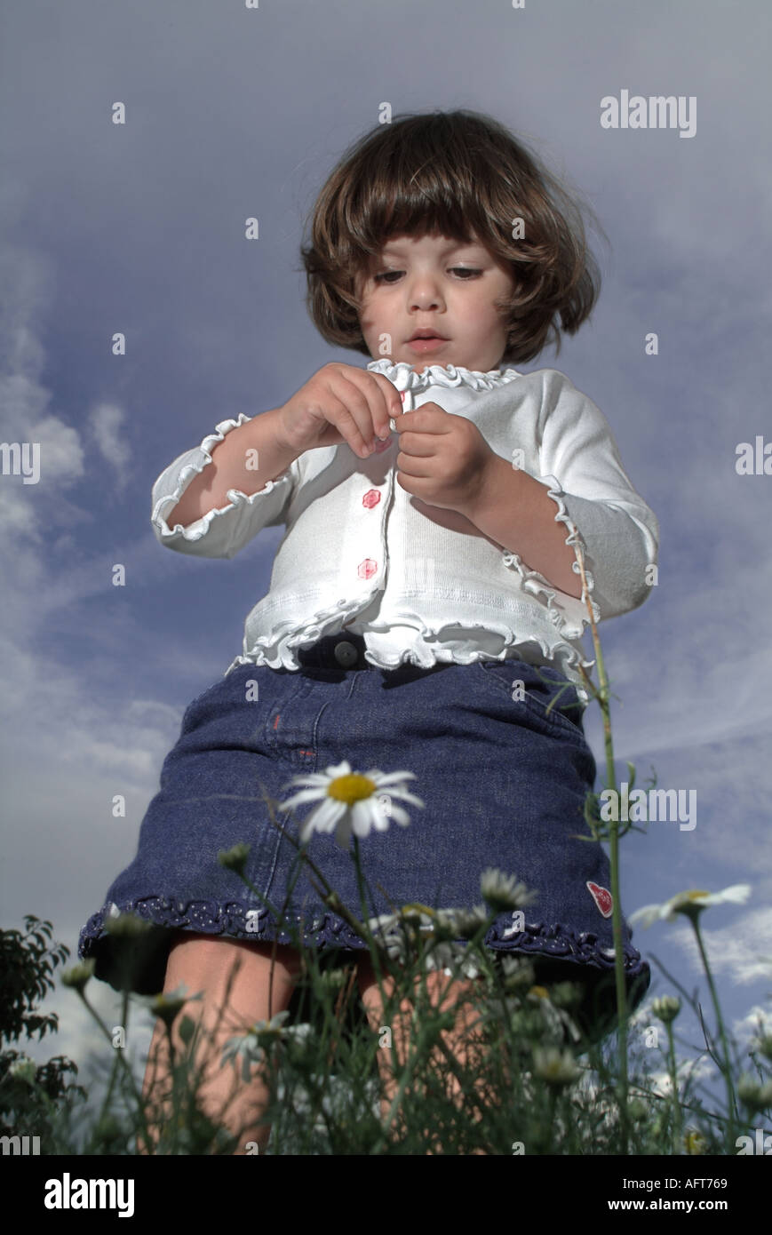 child picking a daisy Stock Photo - Alamy