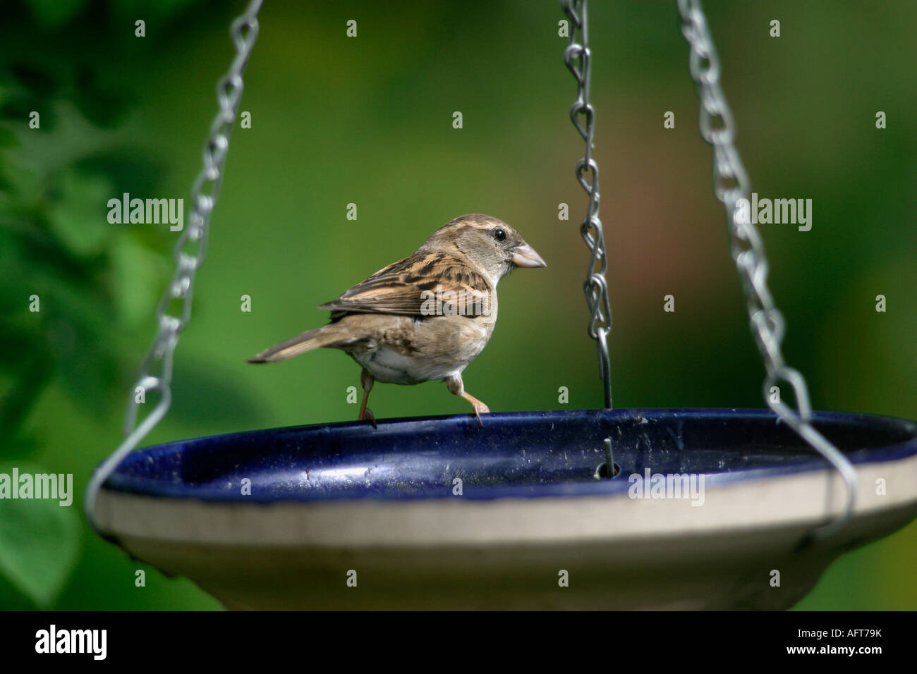 Hang pete jenkins hi-res stock photography and images - Alamy