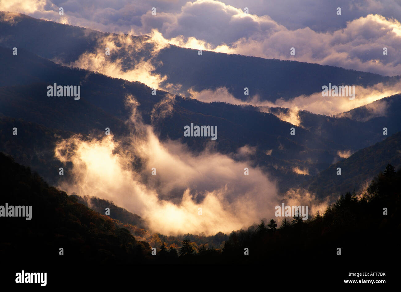 Mist and Fog, Great Smoky Mountains National Park USA Stock Photo - Alamy