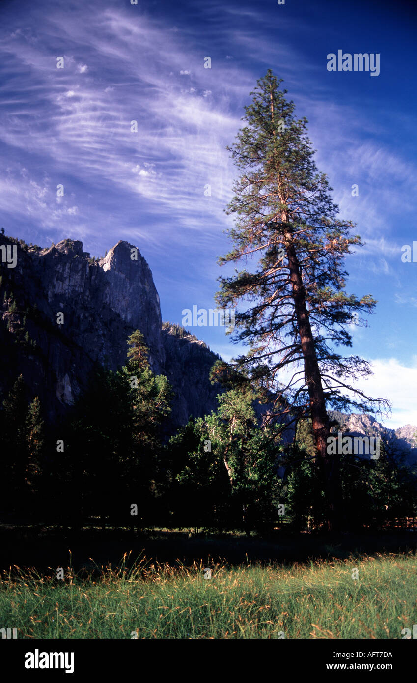 Cook's meadow yosemite hi-res stock photography and images - Alamy
