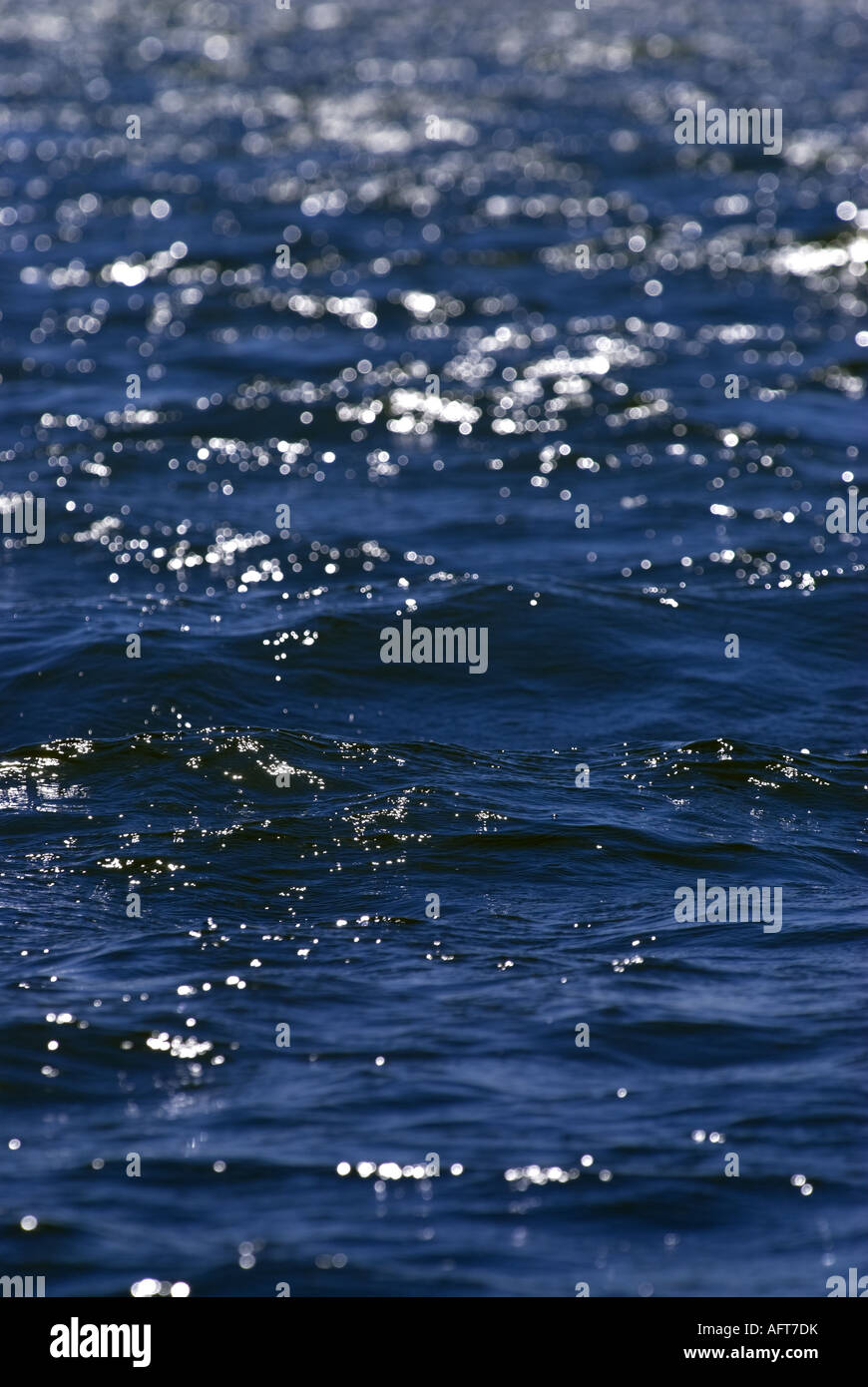 Waves ripple across windswept blue lake Big Pine Lake Ottertail County ...