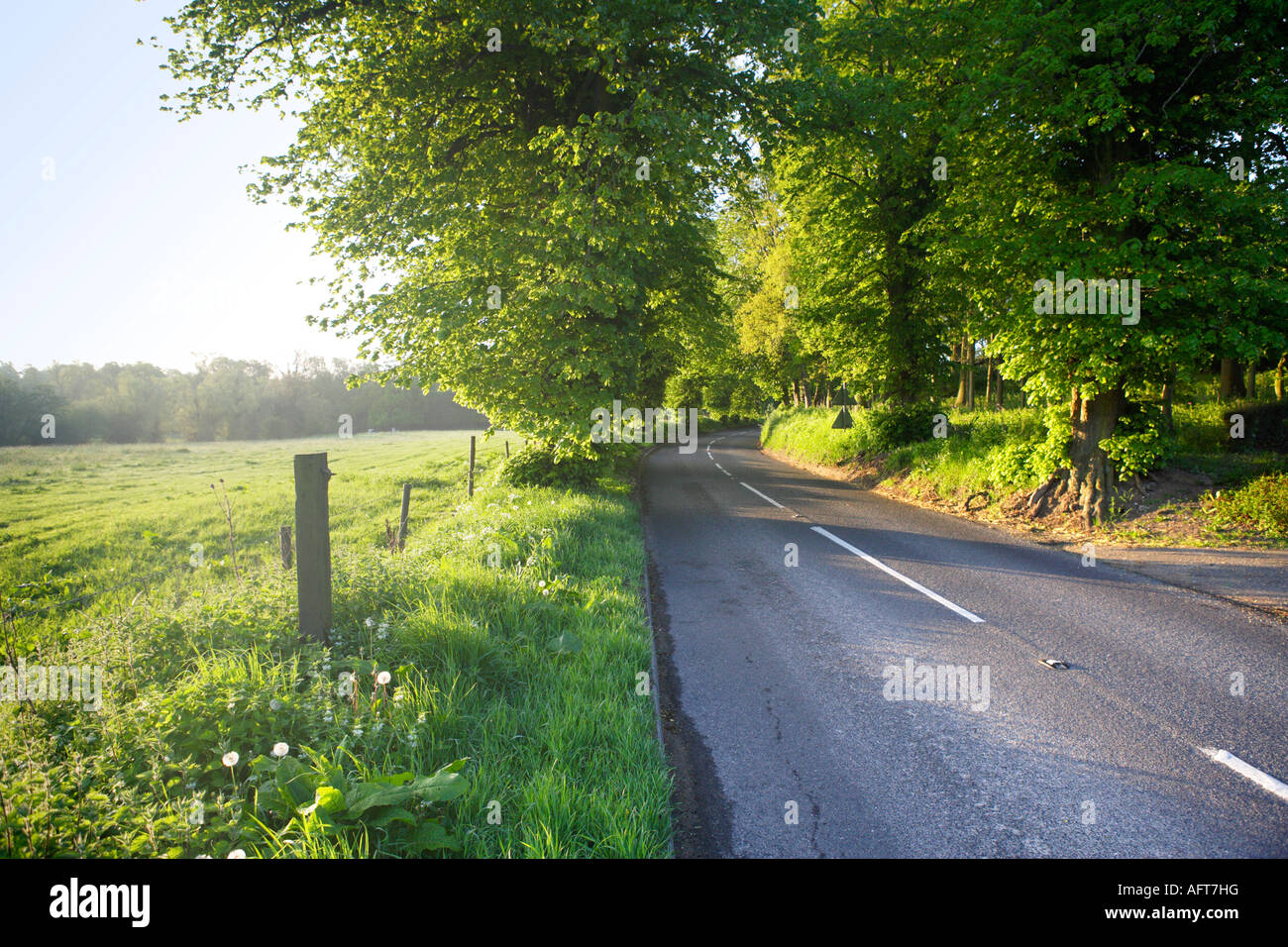 Country Lane Early Summer Norfolk UK Stock Photo - Alamy