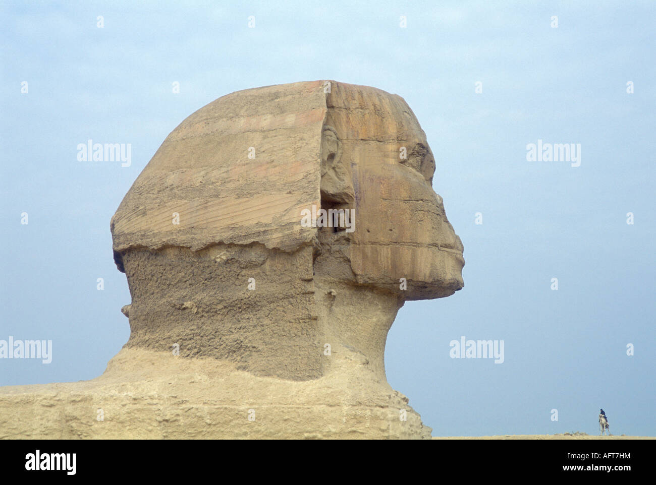 Sphinx sphinxs hi-res stock photography and images - Alamy