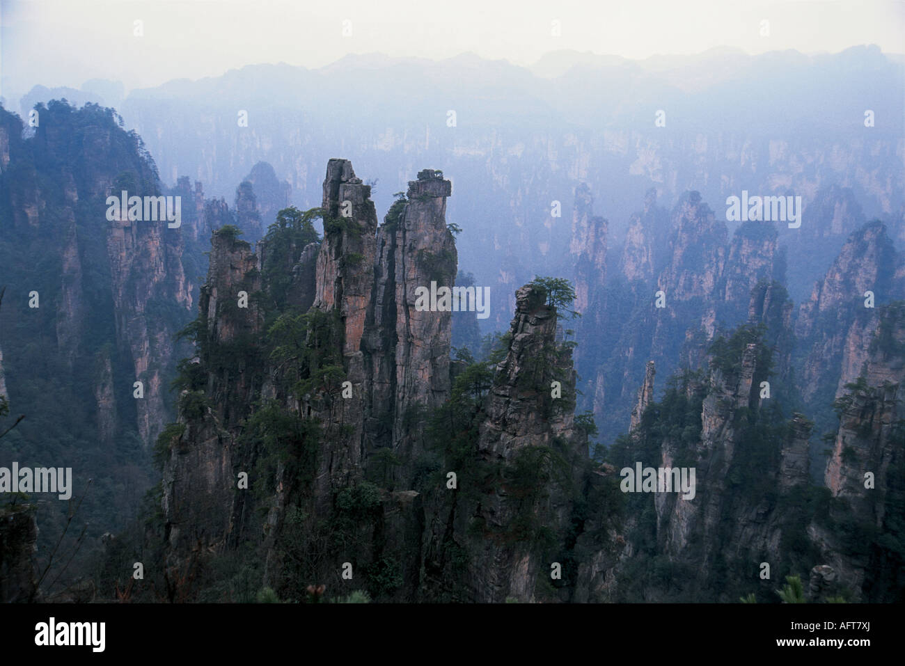Sandstone Pillars in Wulingyuan Scenic Area Stock Photo - Alamy