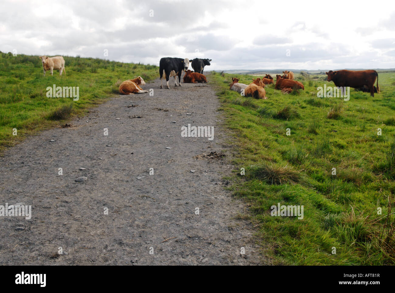 Rural road congestion hi-res stock photography and images - Alamy