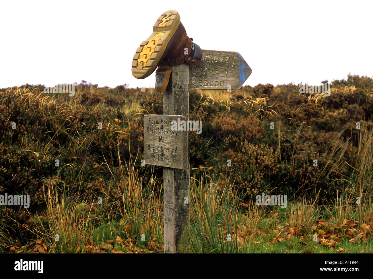 SOMERSET UK October Someones missing boot left on a signpost on the ...
