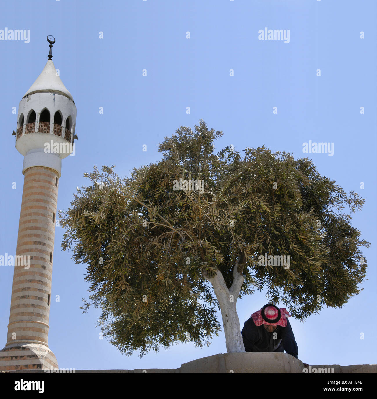 A Muslim man praying in front of a Mosque under an olive tree in the ...