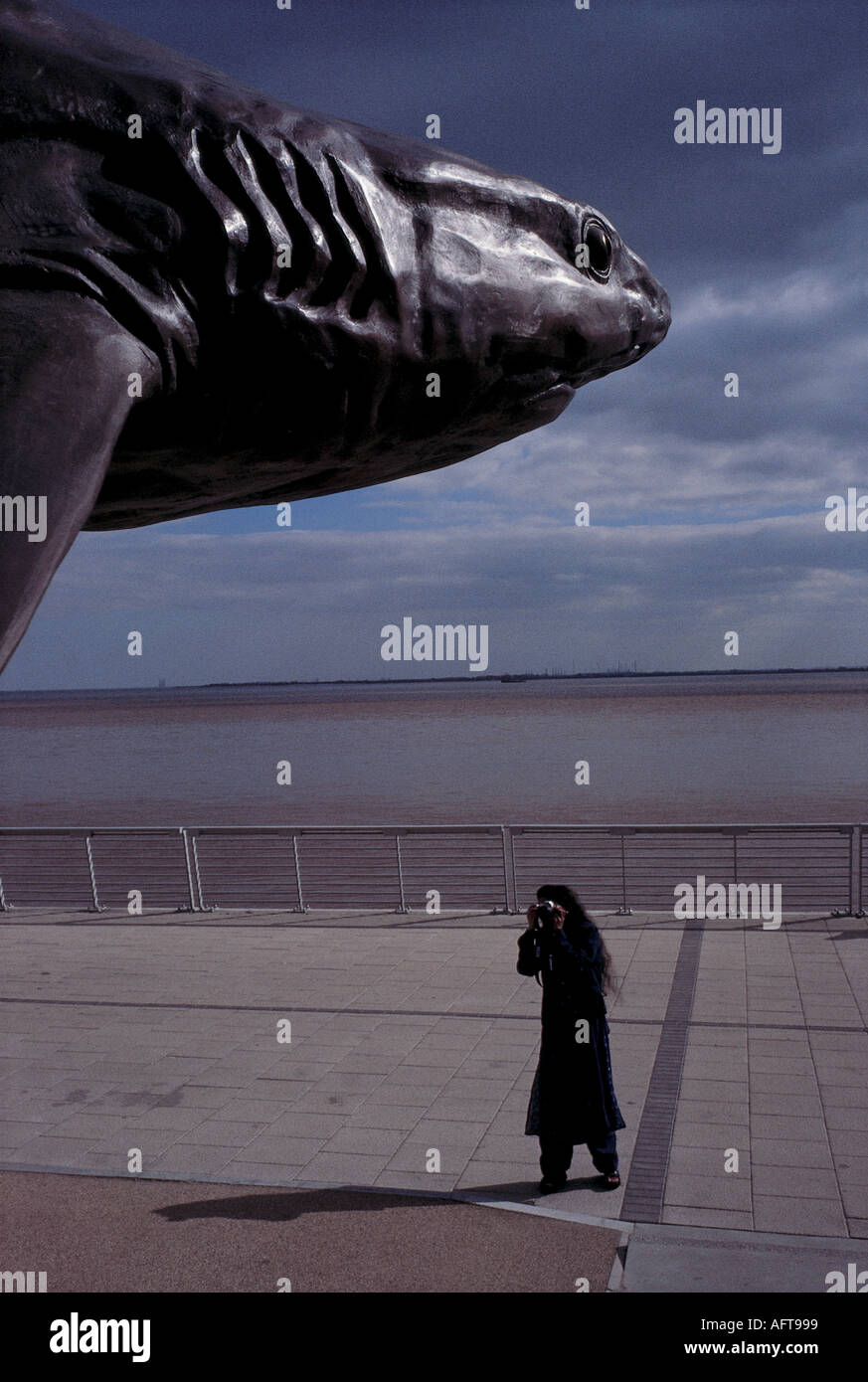 THE DEEP MUSEUM IN HULL EAST YORKSHIRE Stock Photo - Alamy