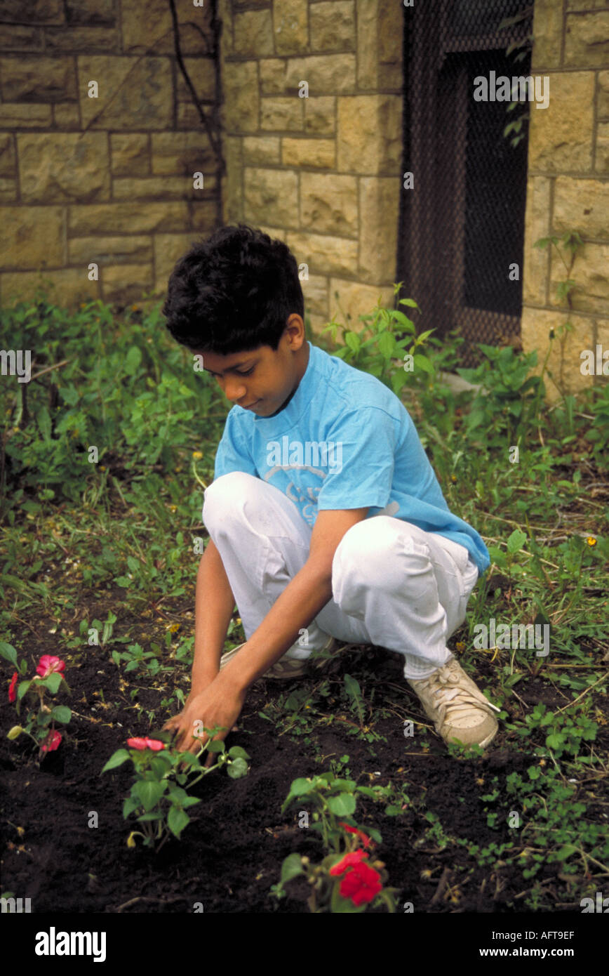 Boy Planting Flowers Stock Photo - Alamy