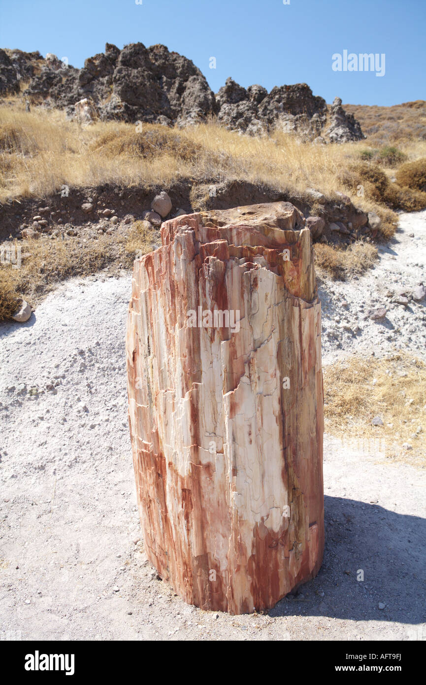 Landscape in island Lesbos Territory Petrified Forest Greece Stock ...