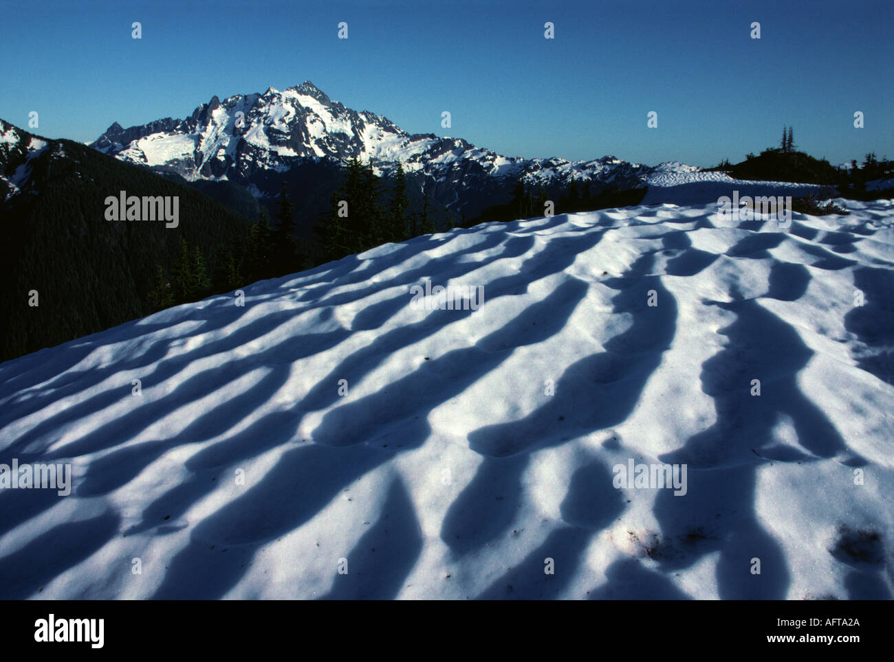 Melting snow near Mount Shuksan, Mt. Baker-Snoqualmie National Forest ...