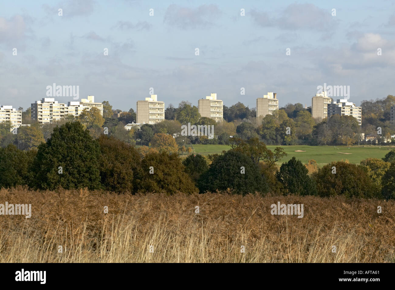 Alton Estate, Roehampton, Wandsworth, England, 1952-9. Architect: LCC ...
