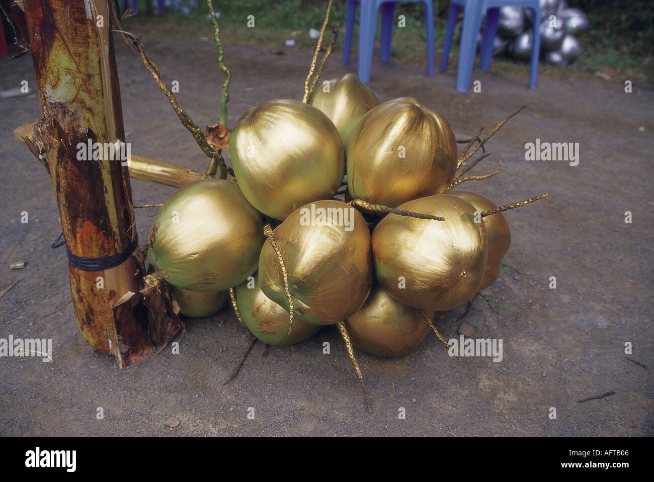 Gold Painted Coconut Oliver Gal Prints Palm Tree Gold Set Modern White