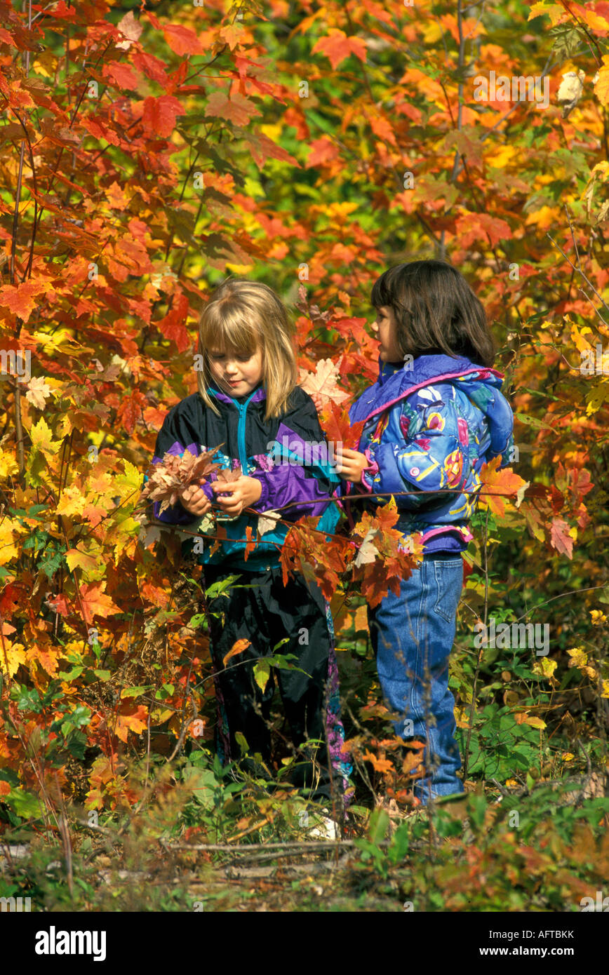 Girls collecting leaves in deciduous forest, Autumn, E USA Stock Photo ...