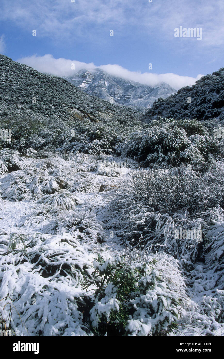 Snow dusts the Pine Mountain area in Los Padres National Forest ...
