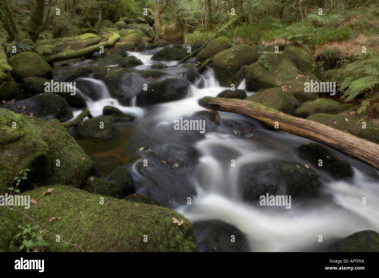 Becky Falls Woodland Park High Resolution Stock Photography and Images ...