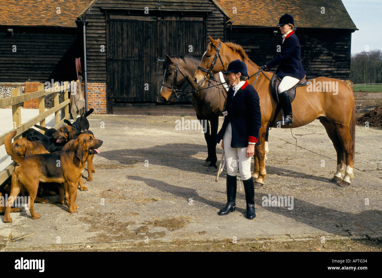 Drag hunting hi-res stock photography and images - Alamy