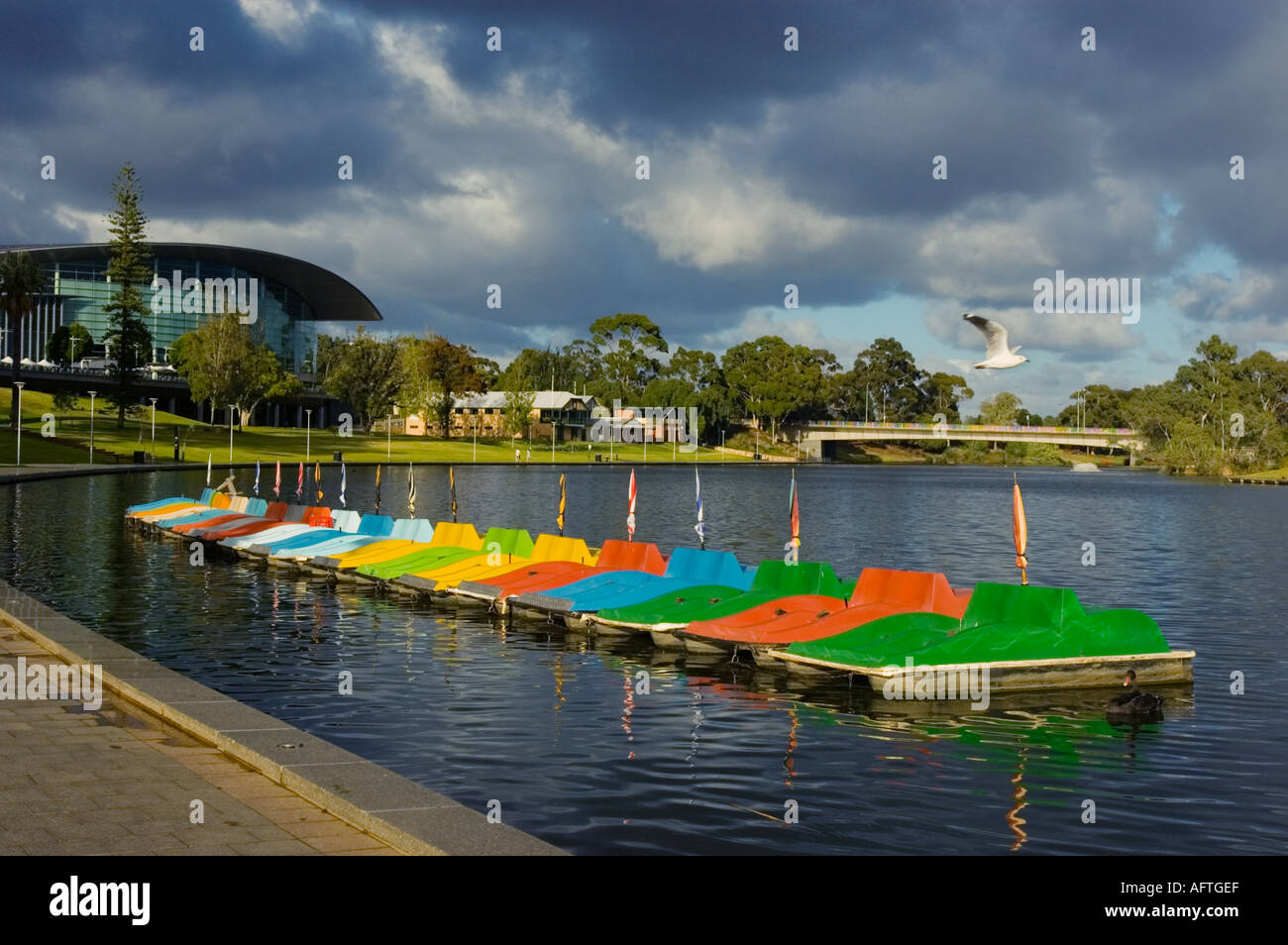 Australia, Adelaide, Torrens Lake Stock Photo - Alamy