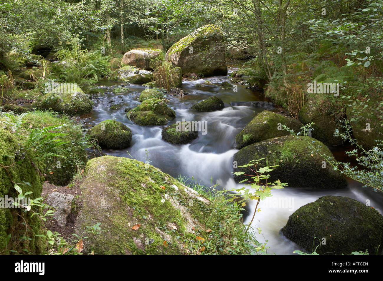 Becky Falls, Dartmoor, Devon Stock Photo - Alamy