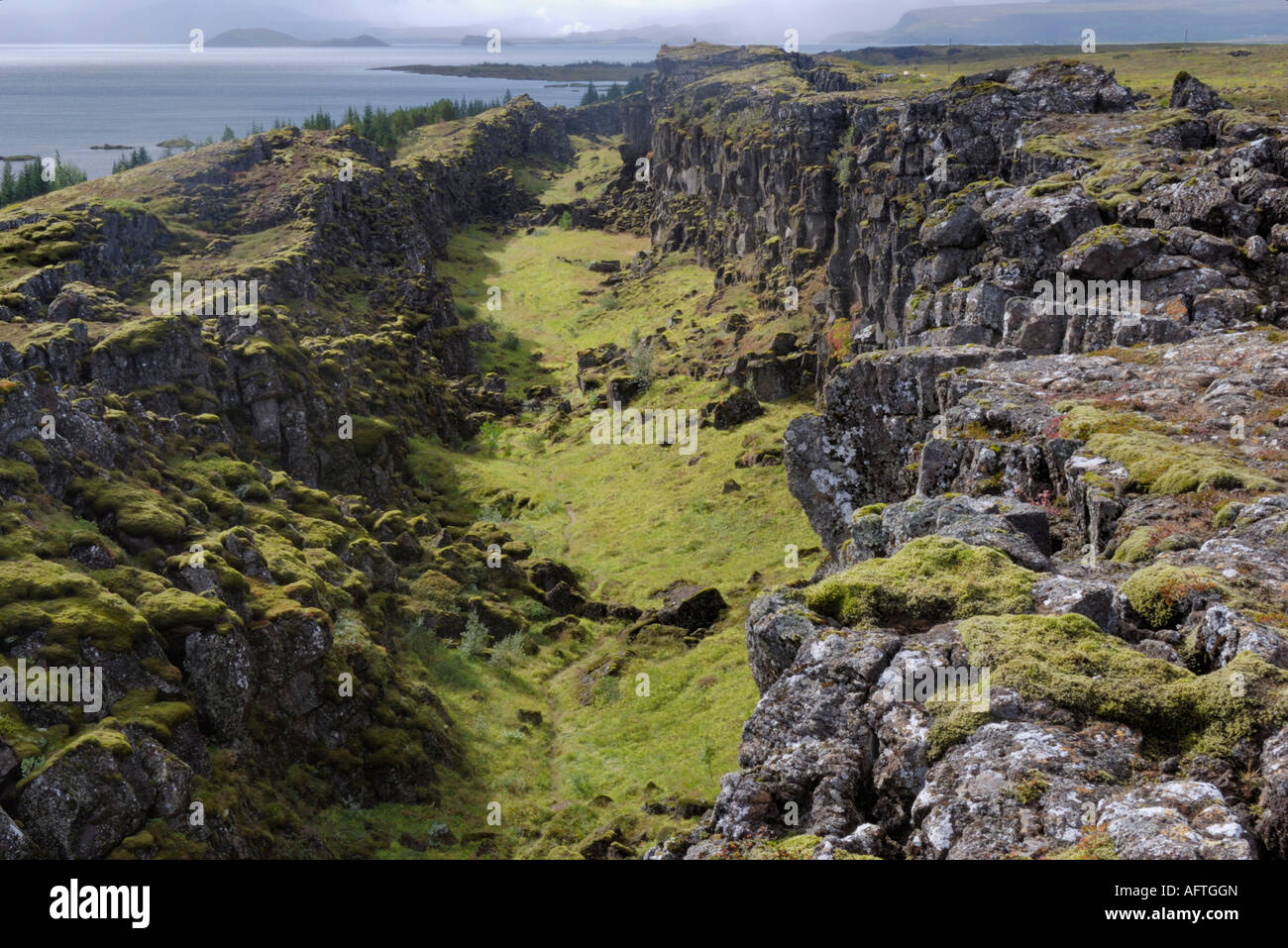 Mid Atlantic rift Þingvellir Iceland Stock Photo - Alamy