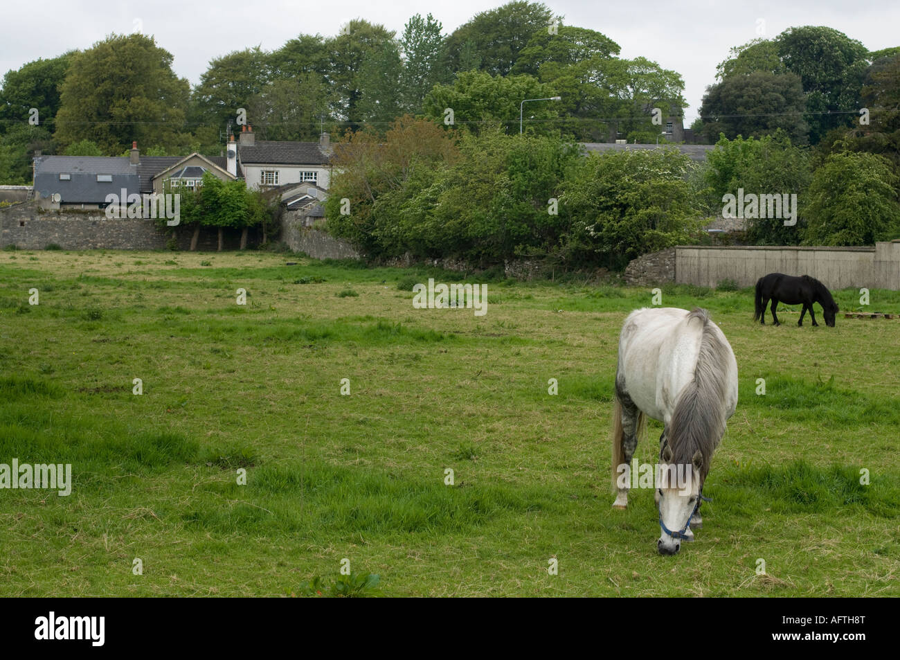 Thomastown County Kilkenny Ireland Stock Photo - Alamy
