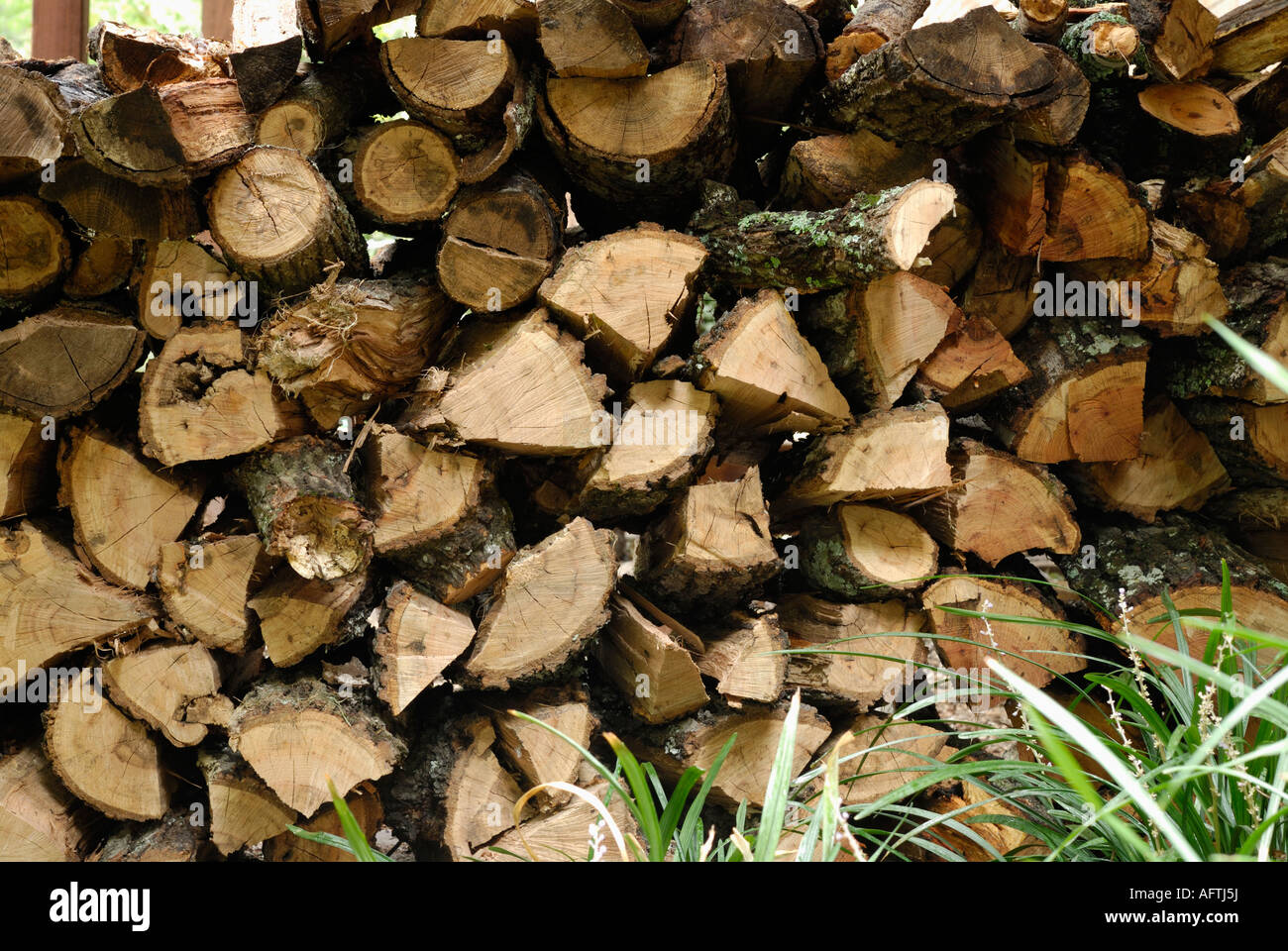 Fire season ends hi-res stock photography and images - Alamy