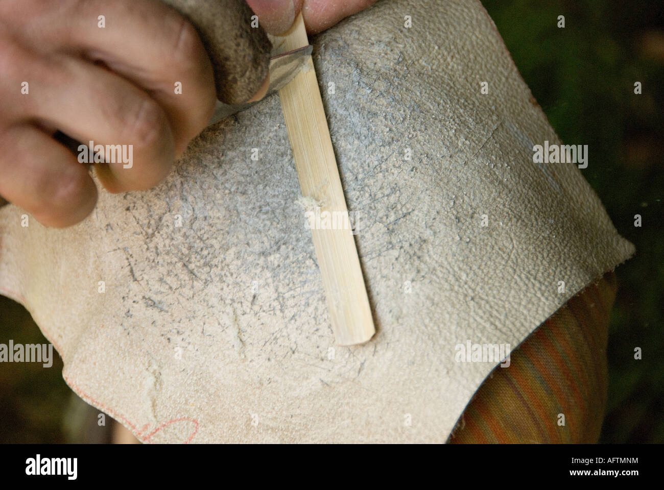 Producing a reed for a musical instrument Stock Photo - Alamy