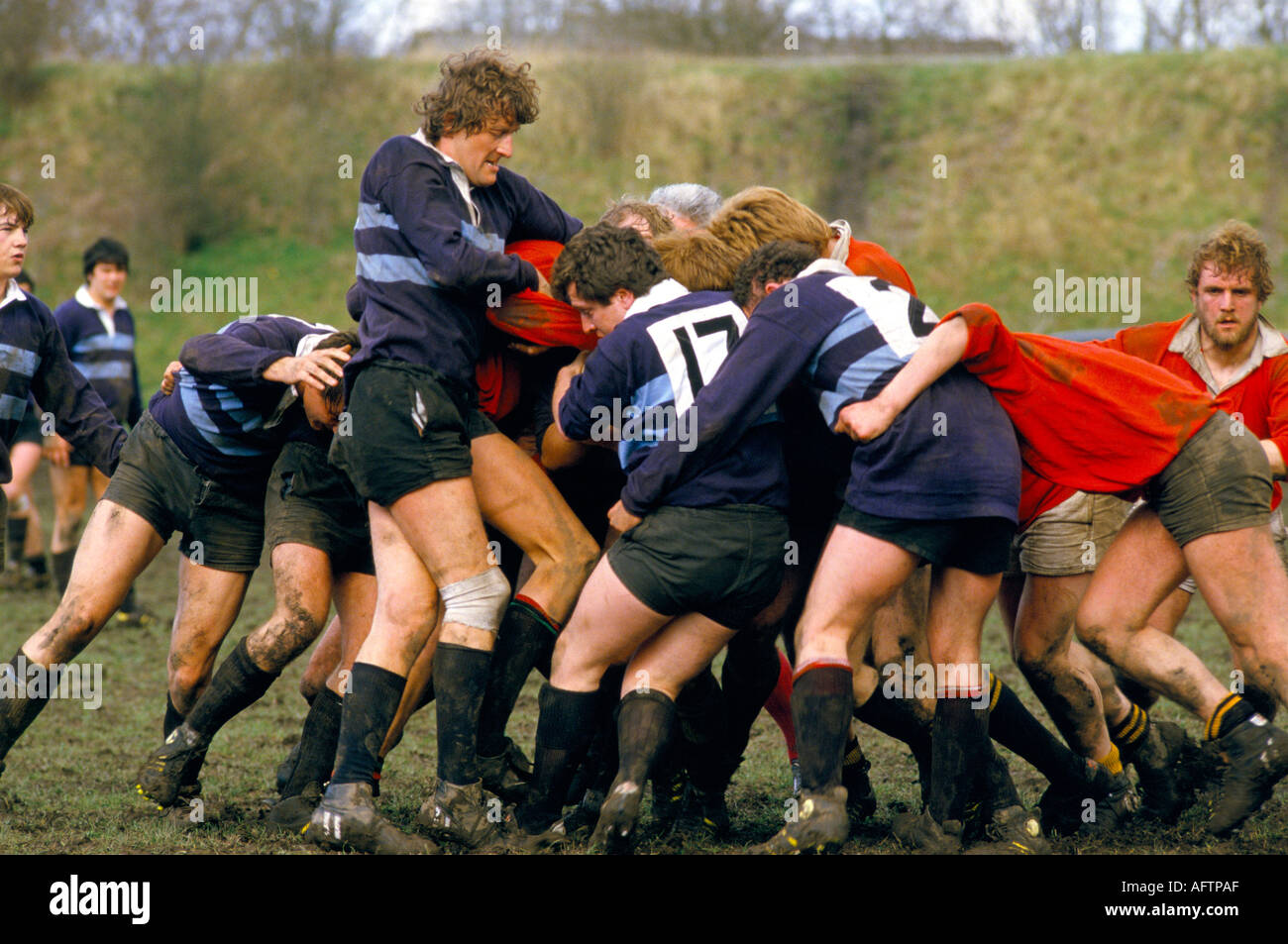 men holding pushing each other in scrum playing rugby game on muddy ...