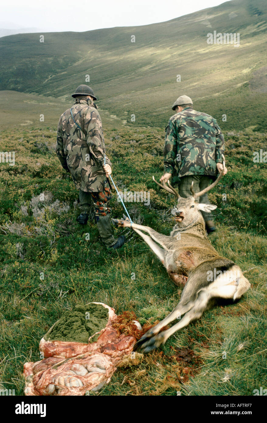 Deer huntings hi res stock photography and images Alamy