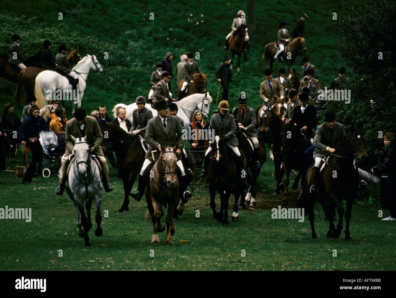 Meet devon somerset stag hounds hi-res stock photography and images - Alamy