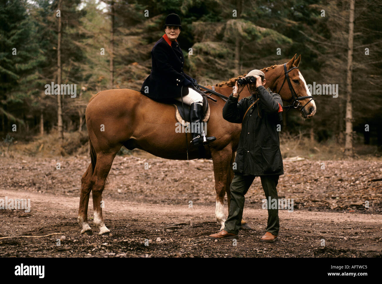 Quantock horse hi-res stock photography and images - Alamy
