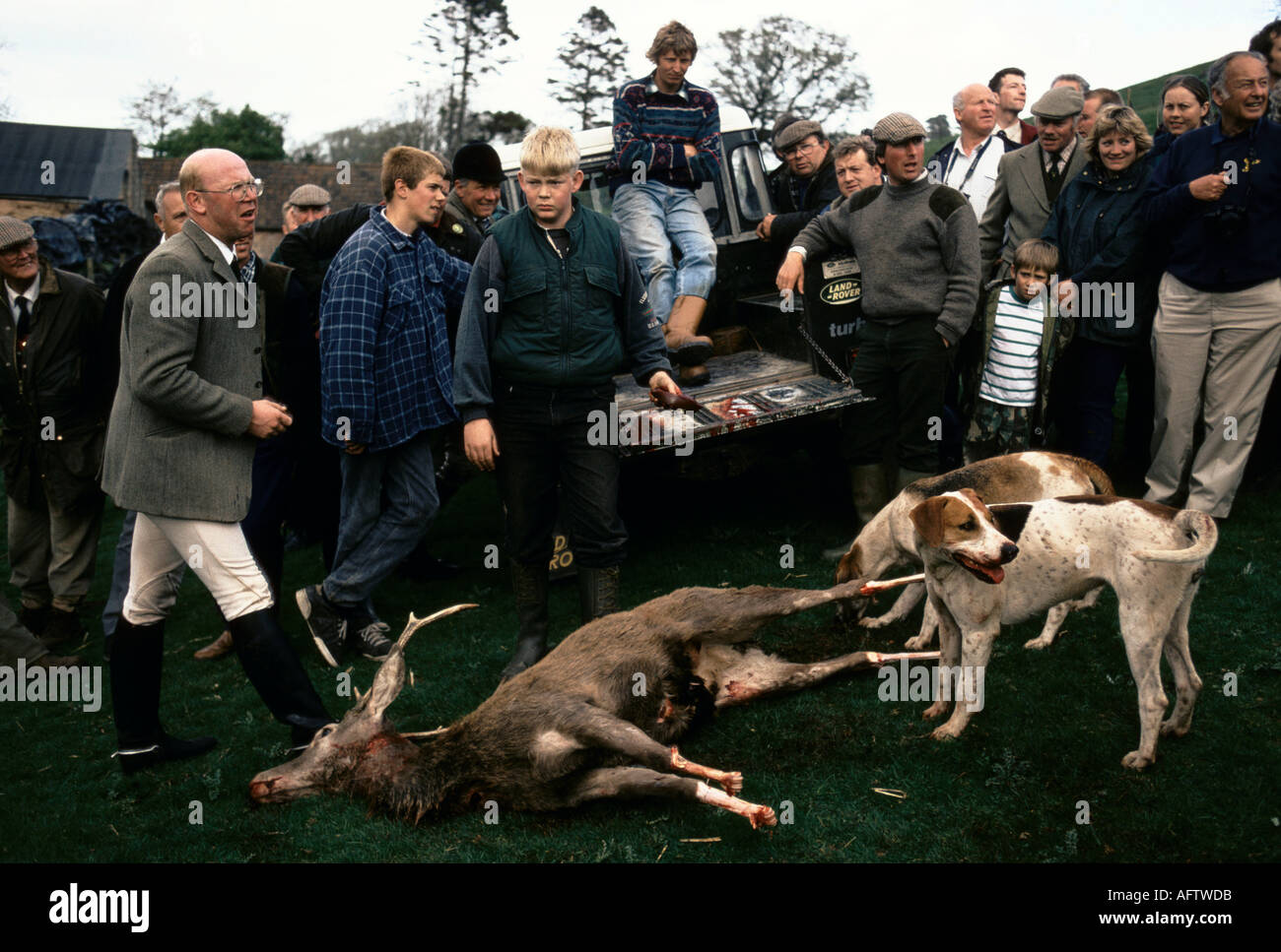 Quantock staghounds hi-res stock photography and images - Alamy