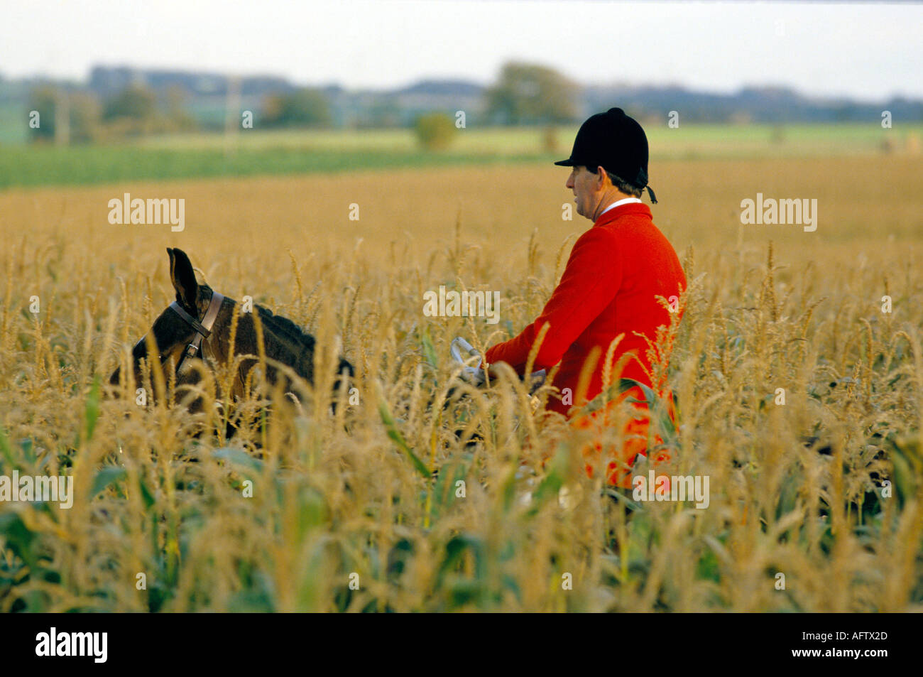 Fox Hunting. The Vale of White Horse Hunt, Wiltshire. The Master of the ...