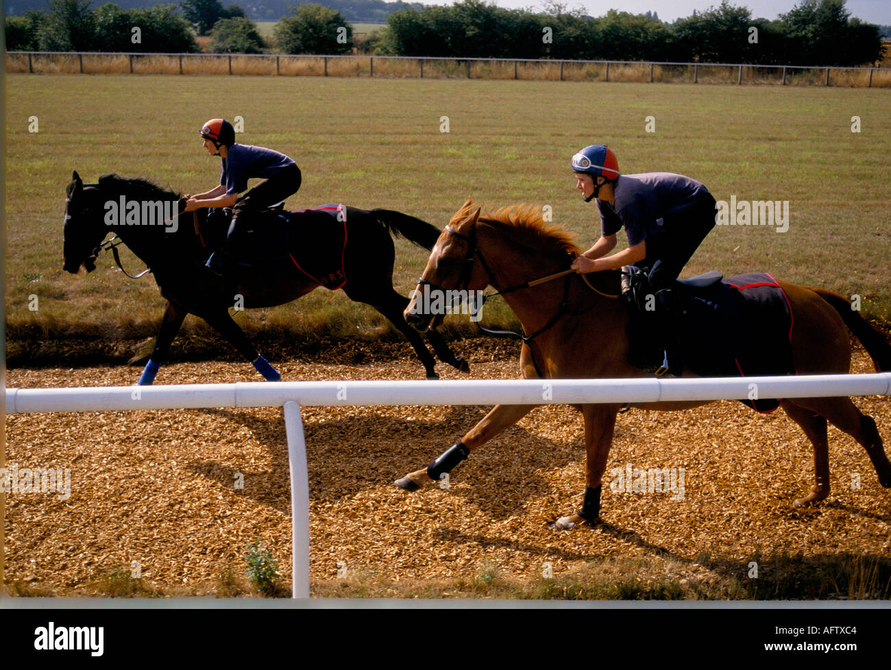 British Female Jockeys High Resolution Stock Photography and Images - Alamy